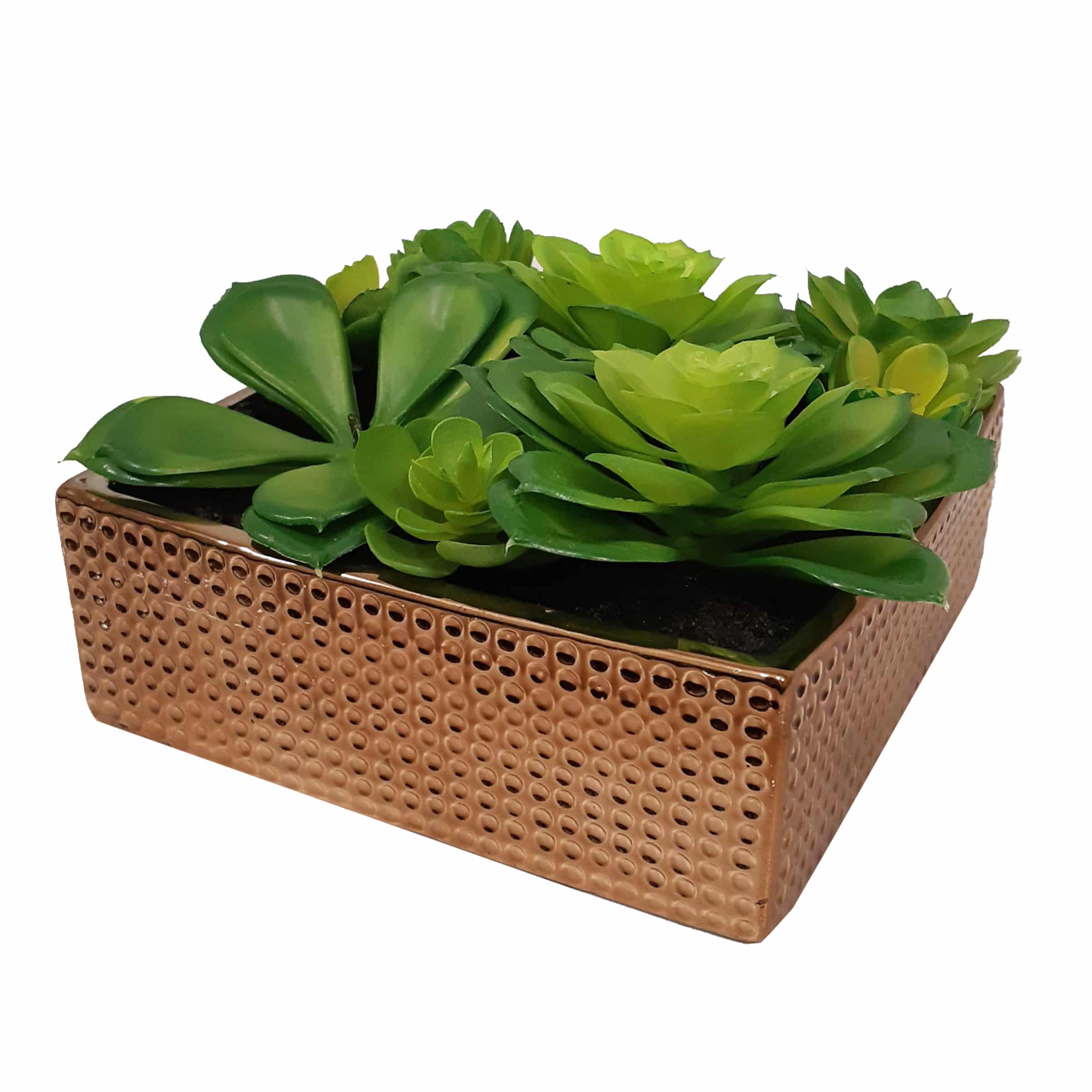 Gold Square Plant | Lux Furniture Rentals
