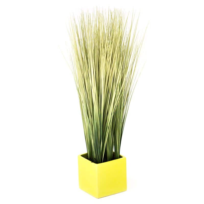 Mini grass | Lux Furniture Rentals